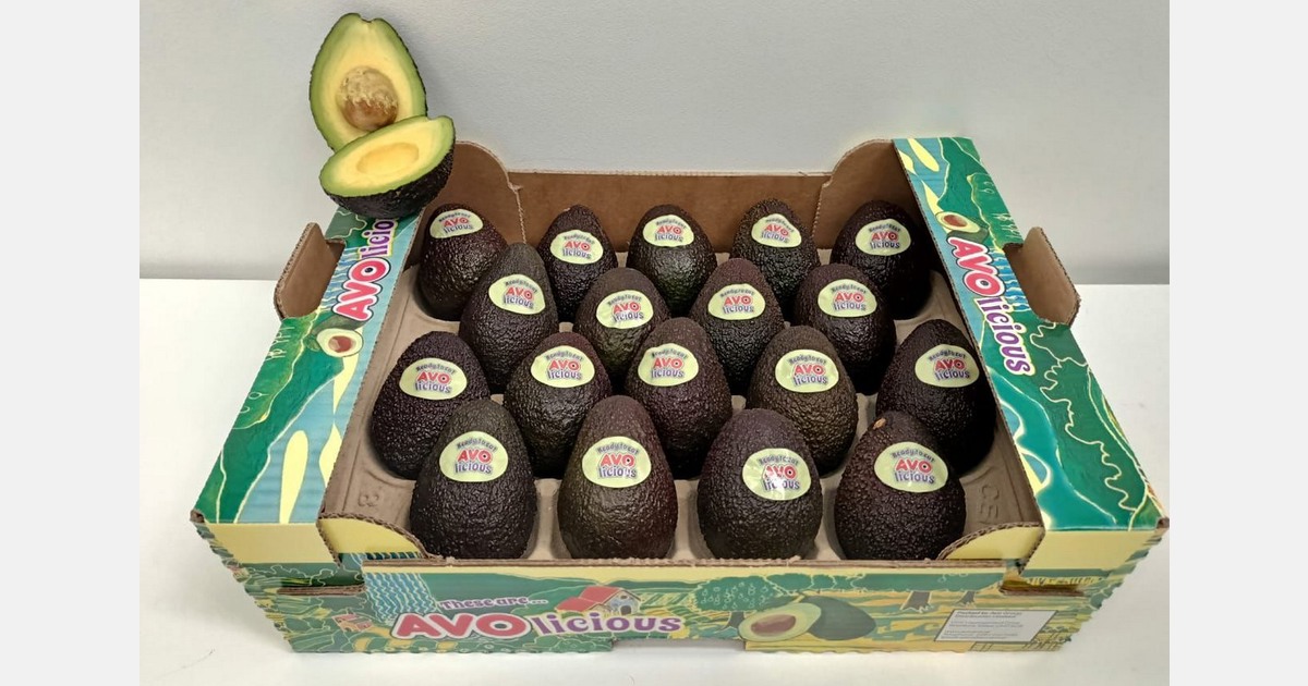 "We will send small volumes from Tanzania in December, then 15-17 ...