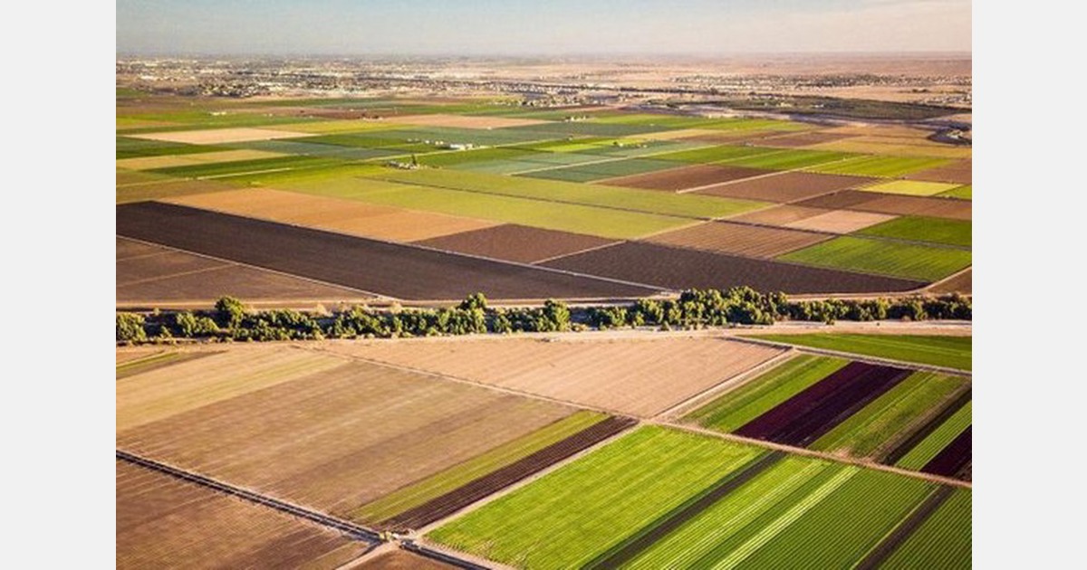 Study looks at future of water sustainability for Yuma farming