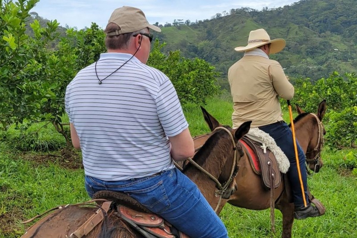 “Leave your chair and get on the back of a mule in Colombia”
