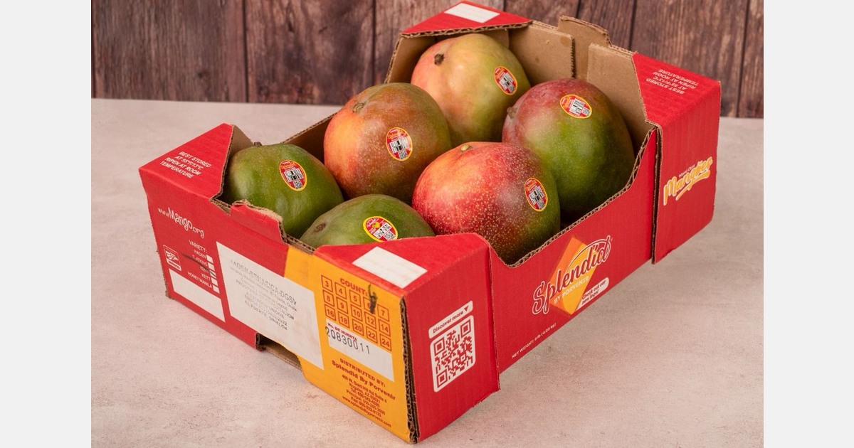 Mango pricing could pick up in near future