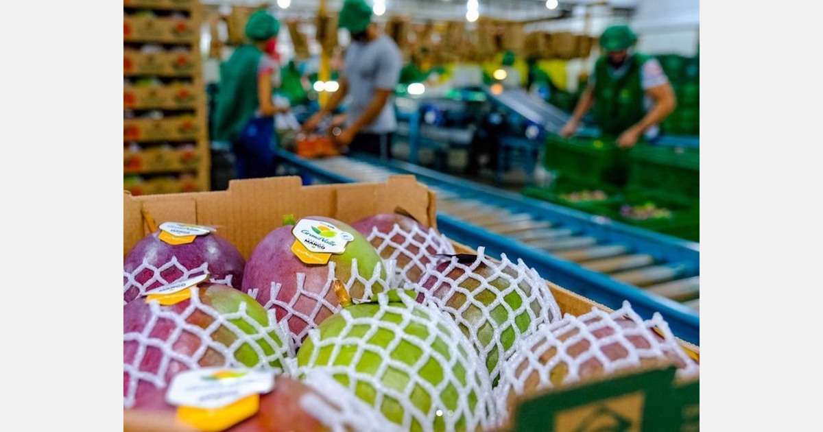 "With strong prices and high demand in US we extended our shipping of ...