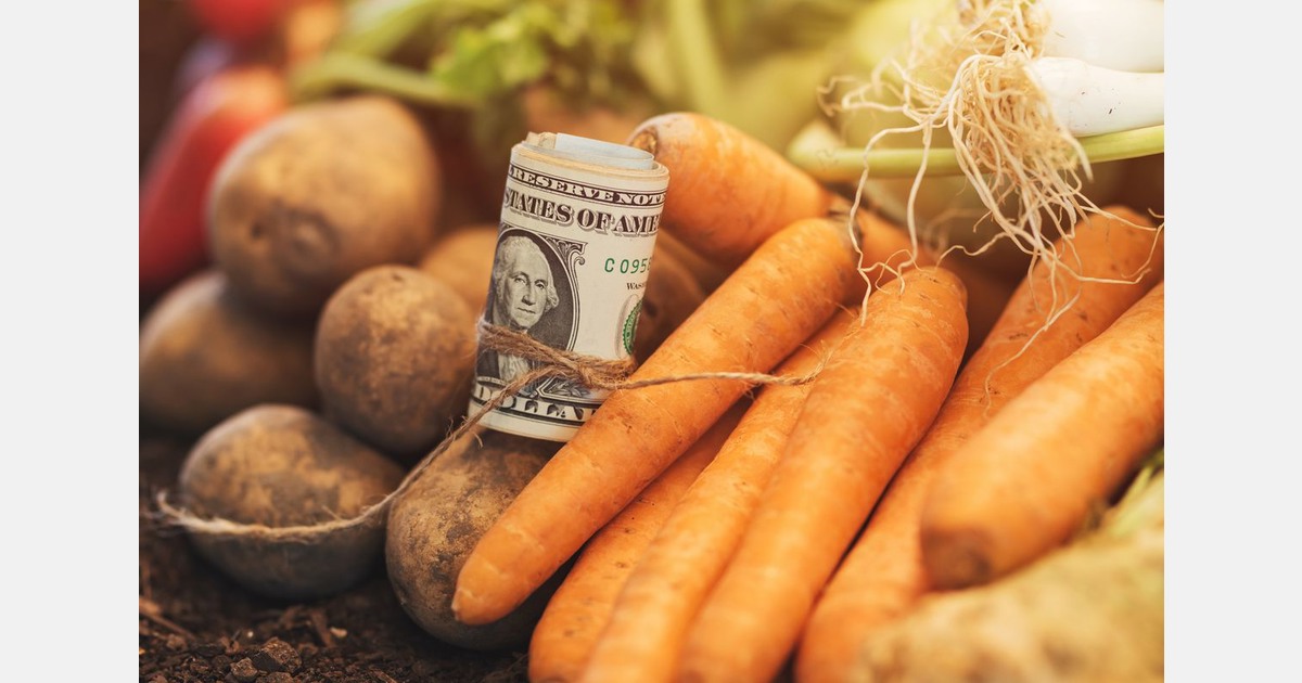 The benefits of securing a PACA license for growers