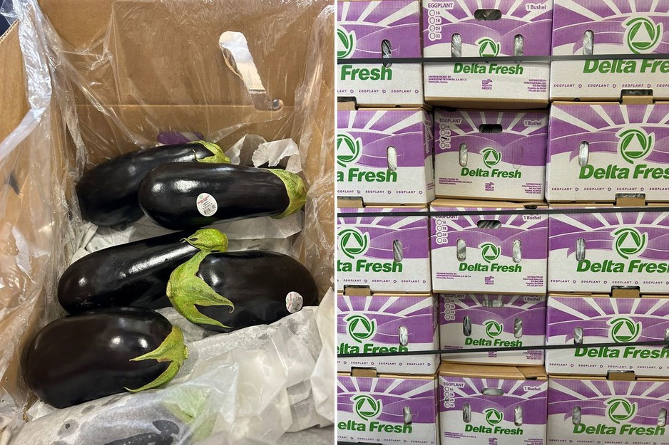 Strong Mexico winter market expected due to water shortage