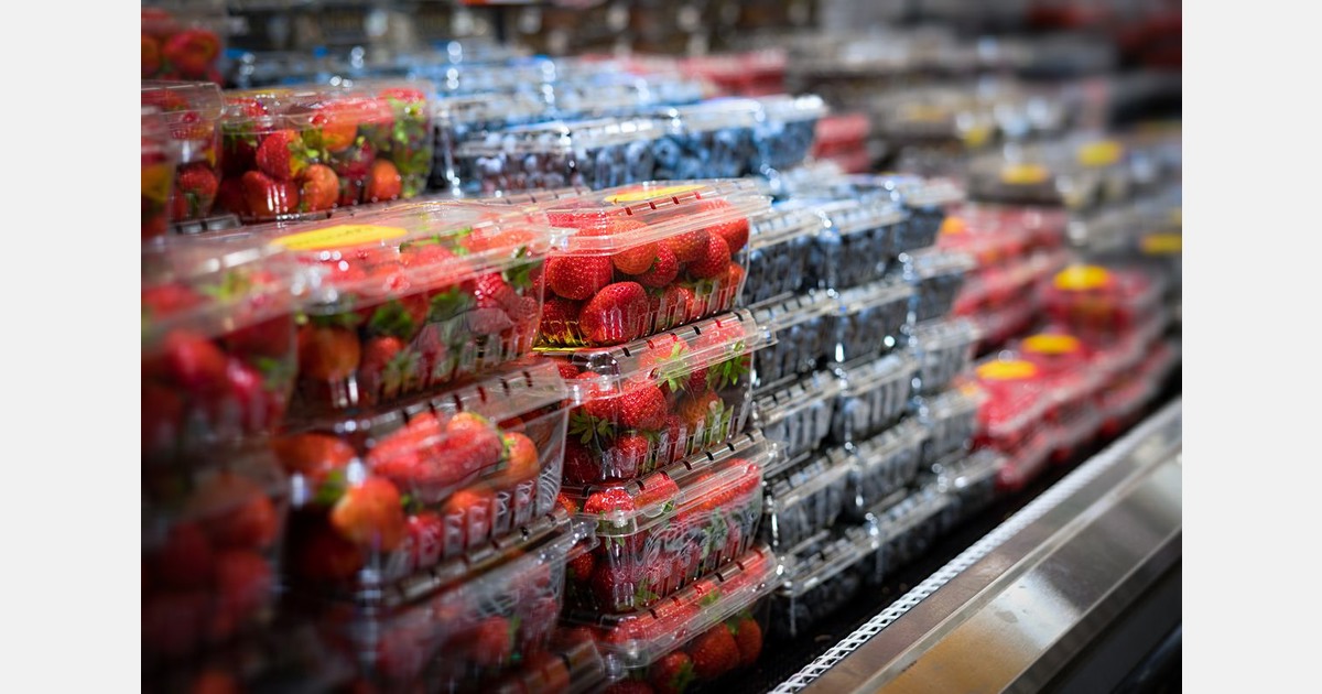 Packaging that results in improved berry shelf-life and more marketable ...