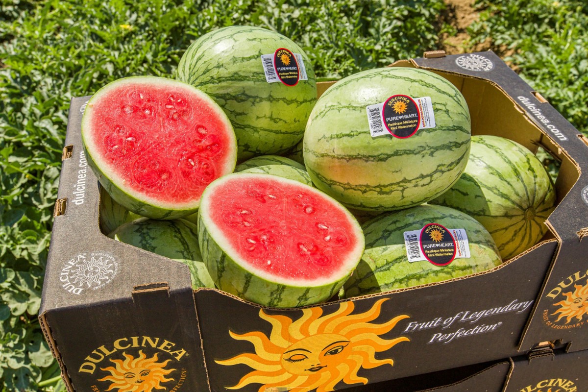 Sourcing of mini seedless watermelon expanded