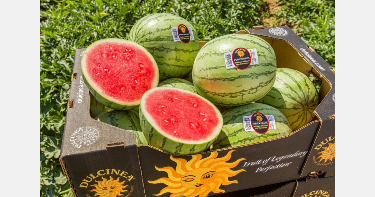 Sourcing of mini seedless watermelon expanded
