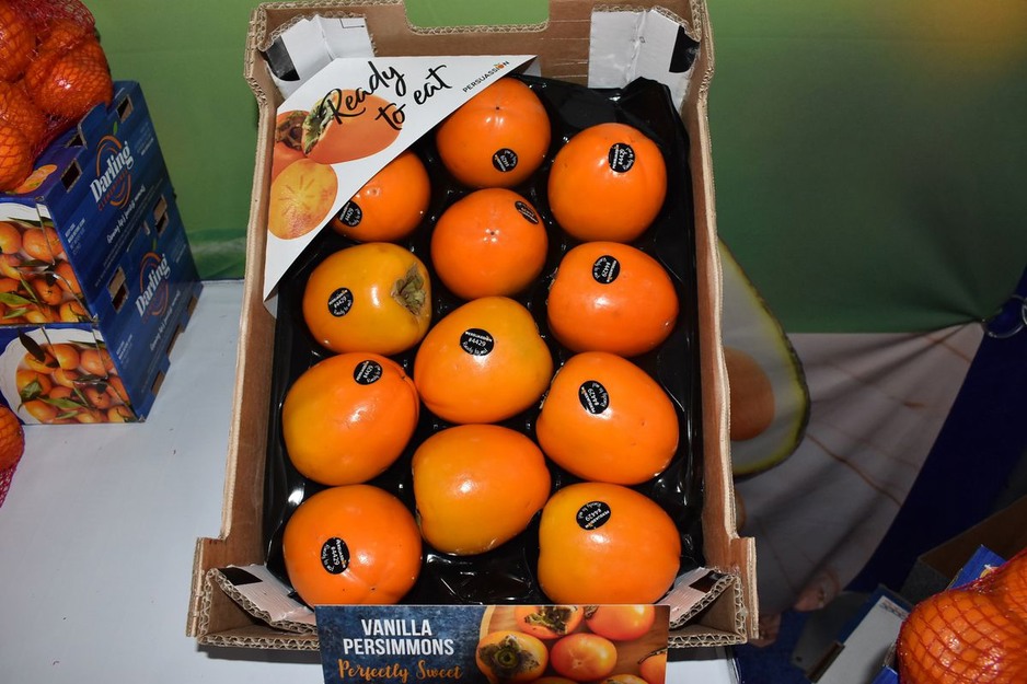 Larger volume of Spanish persimmons shipped to the US this season