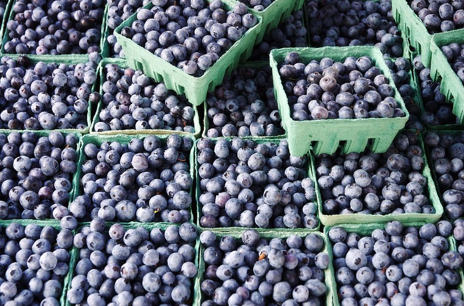 New avenue opens for South African blueberries in North America
