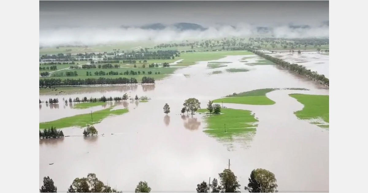 Cyclone Jasper: Flood Affected Food Crop Guidelines