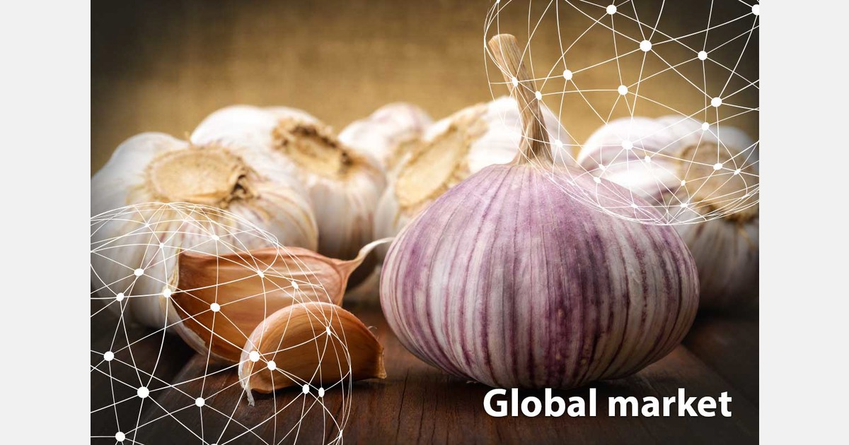 GLOBAL MARKET OVERVIEW GARLIC