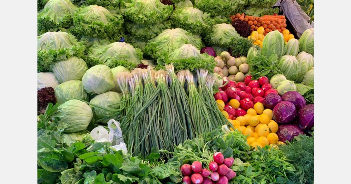 Agricultural sector Qatar set to grow at CAGR of 5.47%