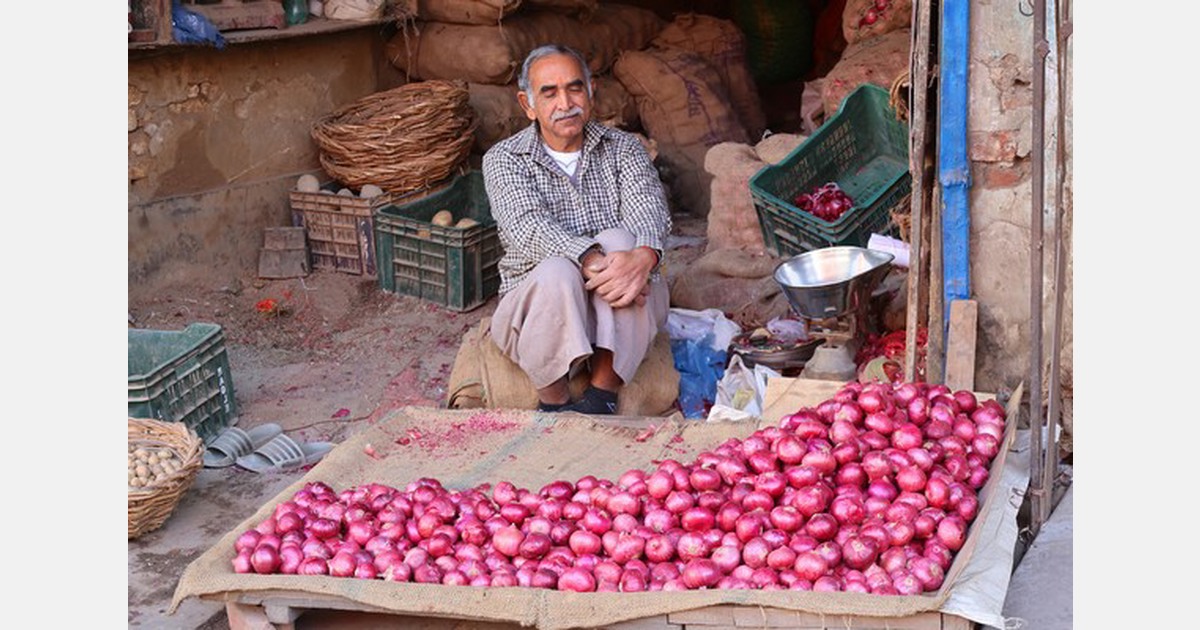 Onion prices shoot up to Rs240 per kg in Pakistan due to unbridled exports