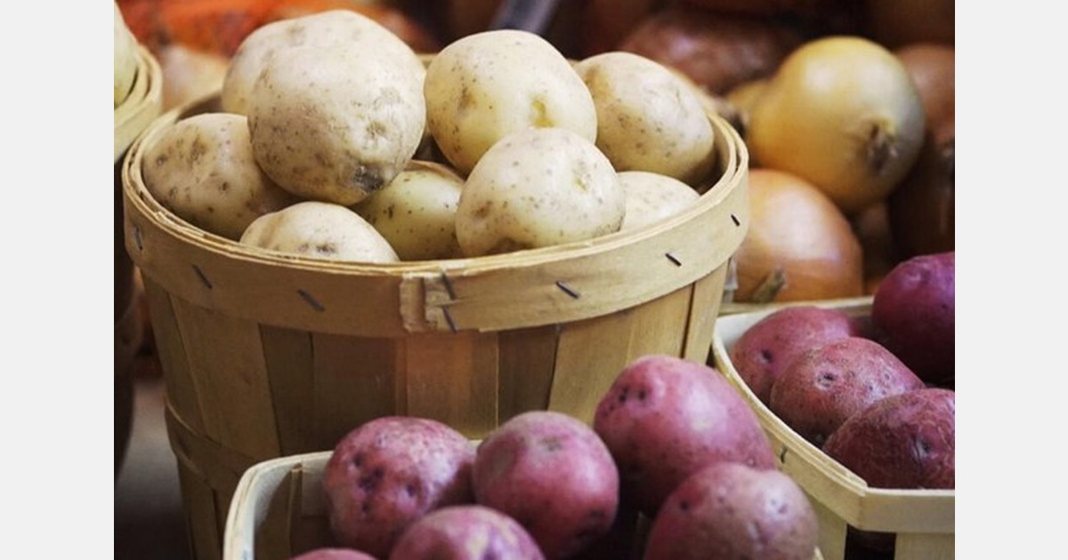 Ukraine imports potatoes from Poland amid record prices