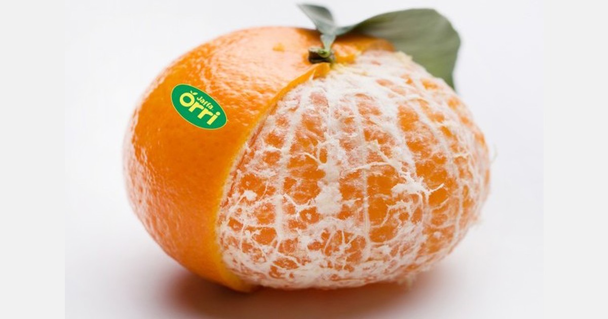 Orri Jaffa 2024 mandarin season has started with big demand in Europe