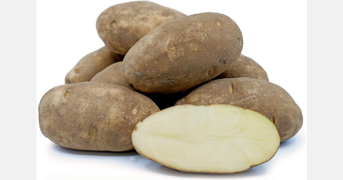 USDA scientists work to ensure nutritious and high-quality potatoes are ...