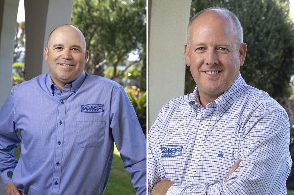 Frost-Kissed artichokes back for limited time