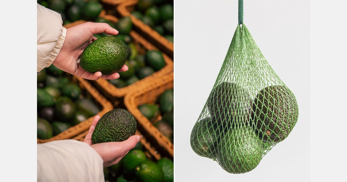 Key factors influencing consumer preference of bagged and bulk avocados