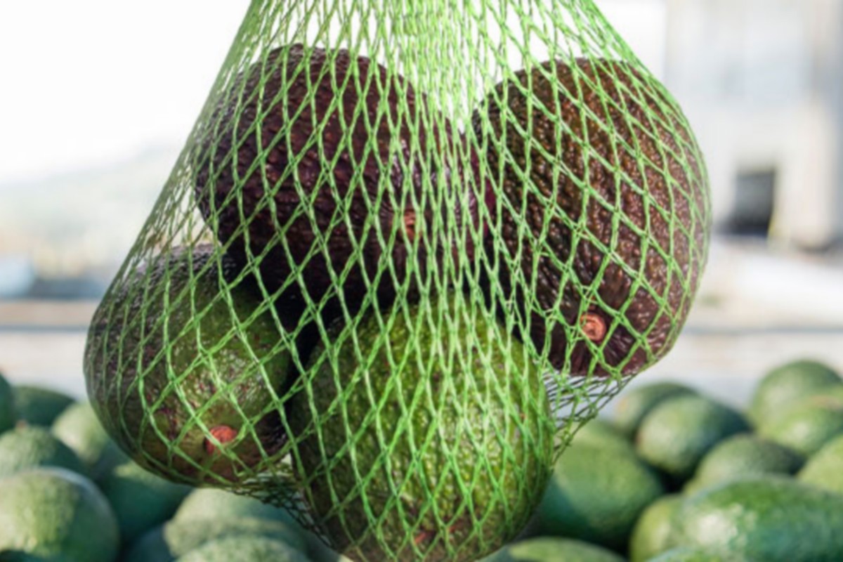 Key factors influencing consumer preference of bagged and bulk avocados
