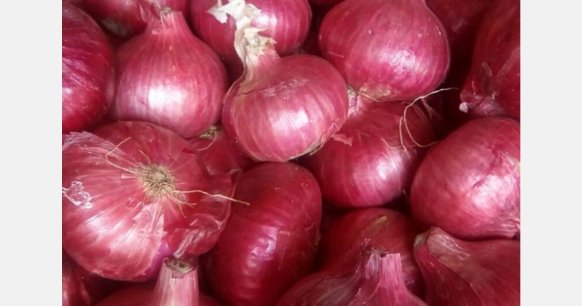 Pakistan sets minimum export price for onions at $1,200 per ton
