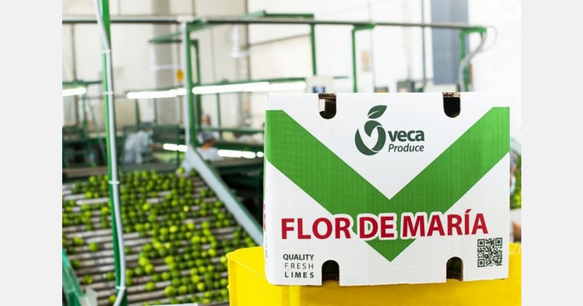 Inconsistent rains impact sizing on Mexican lime crop