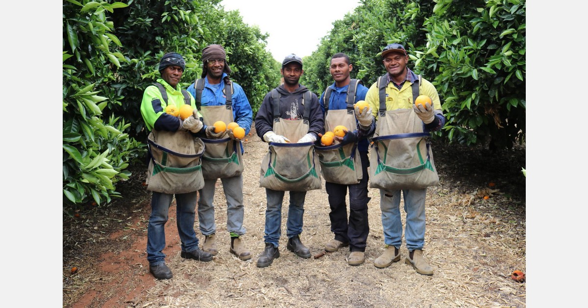 Australia's revised Pacific Australia Labour Mobility scheme leads to ...