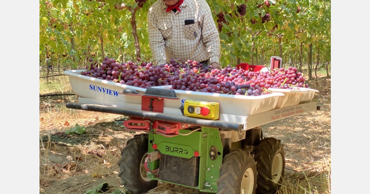 Burro grows from ‘people to pallet scale’ with autonomous harvest ...