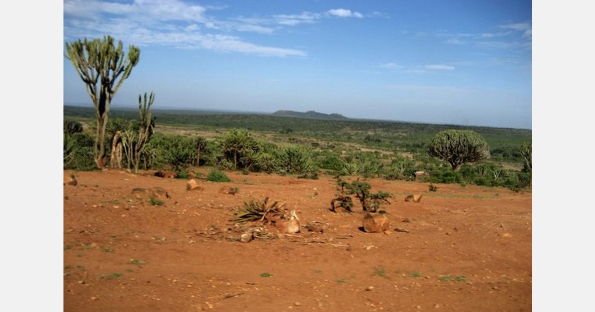 Kenya seeks foreign investment in agriculture for ASAL region development