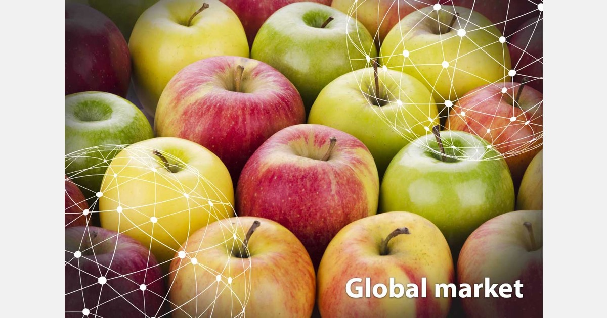 GLOBAL MARKET OVERVIEW APPLES