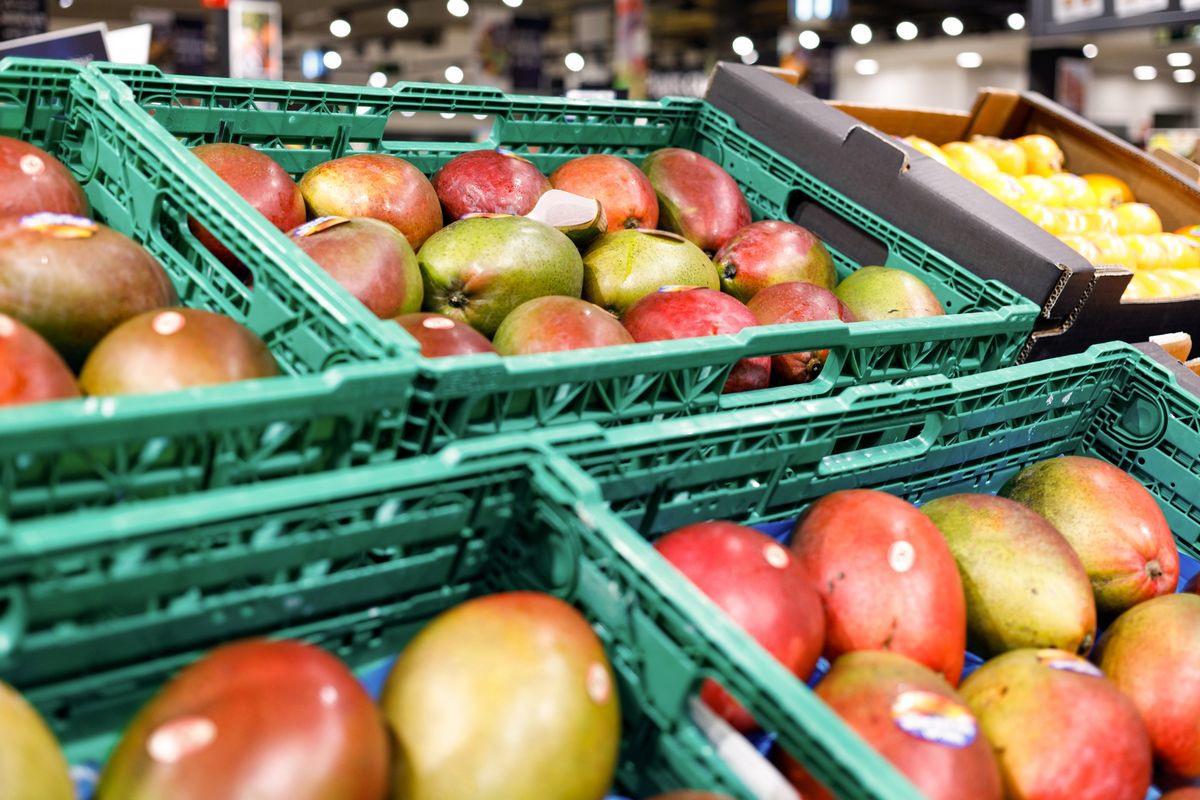 How the use of ethylene drives mango consumption