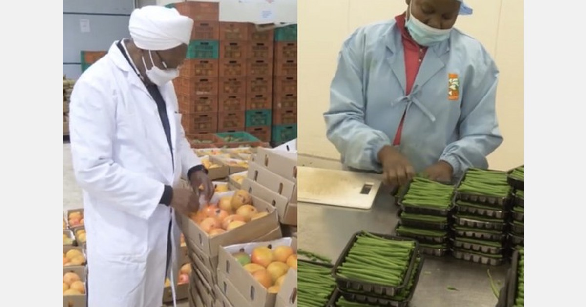 Kenyan fruit and vegetable company rises to success under Dr Mwangi