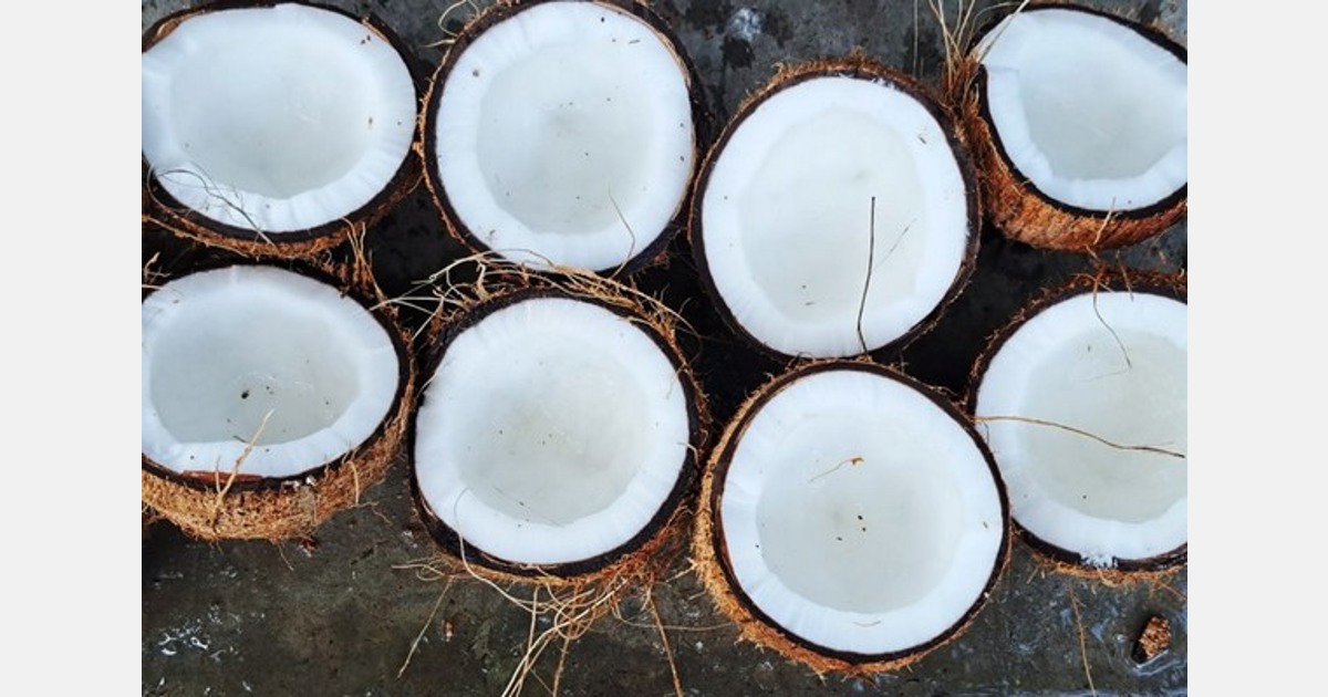 "Tremendous growth in the volume of coconuts that are exported"