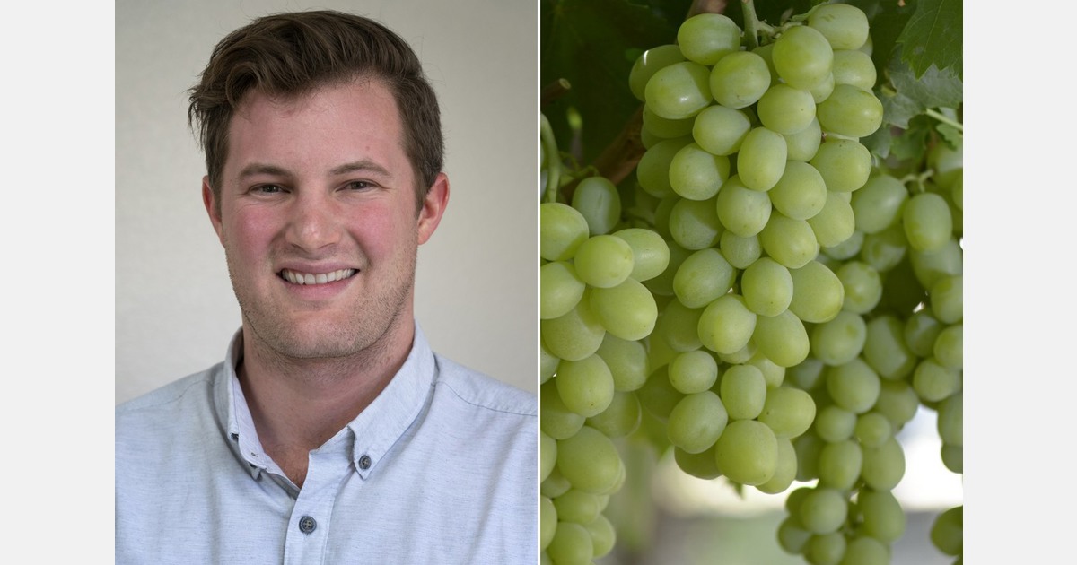Grape Commission names director of content development