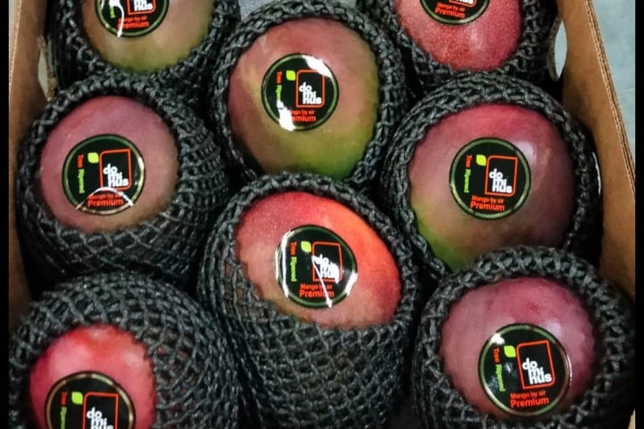 Adapting to lower volumes key for Peruvian mango exporters for 2024 season