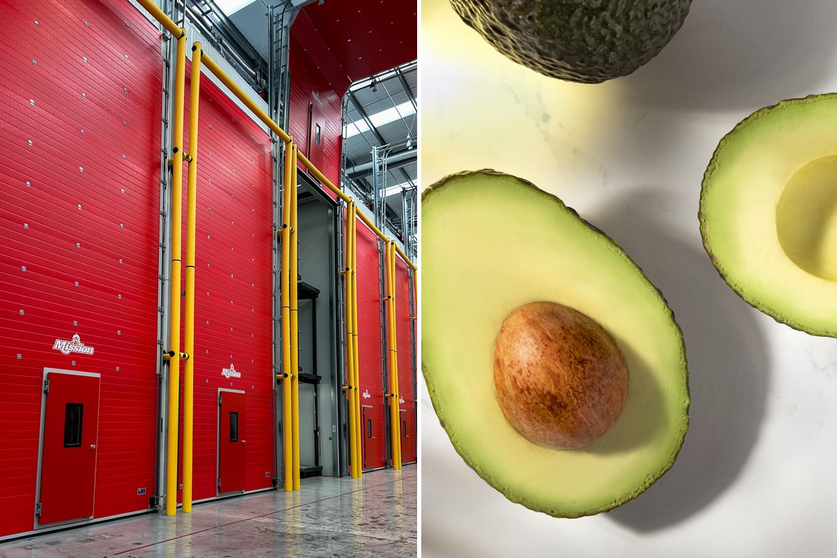 Avocado ripening technology on display at Fruit Logistica