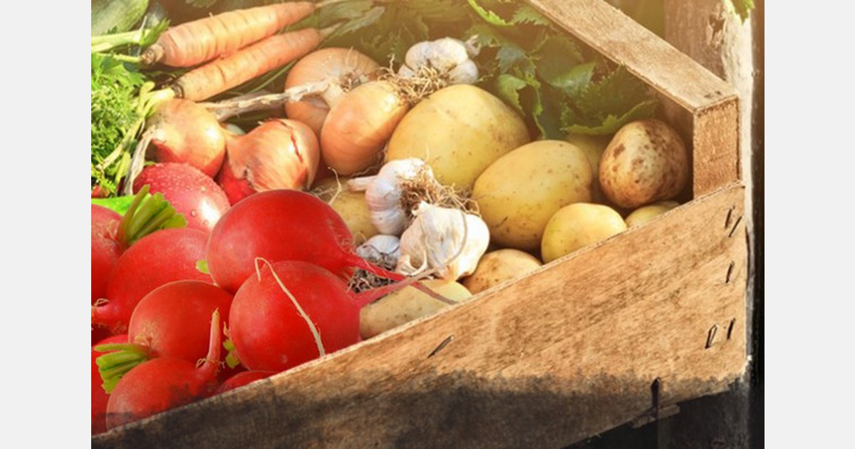 G.O. Fresh joins WPS Fresh's Growing Footprint