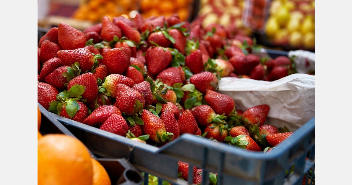 Saudi Arabia lifts restrictions on Egyptian strawberry imports