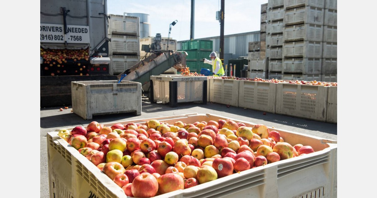 Manzana apple processor leaves Sonoma County for Washington