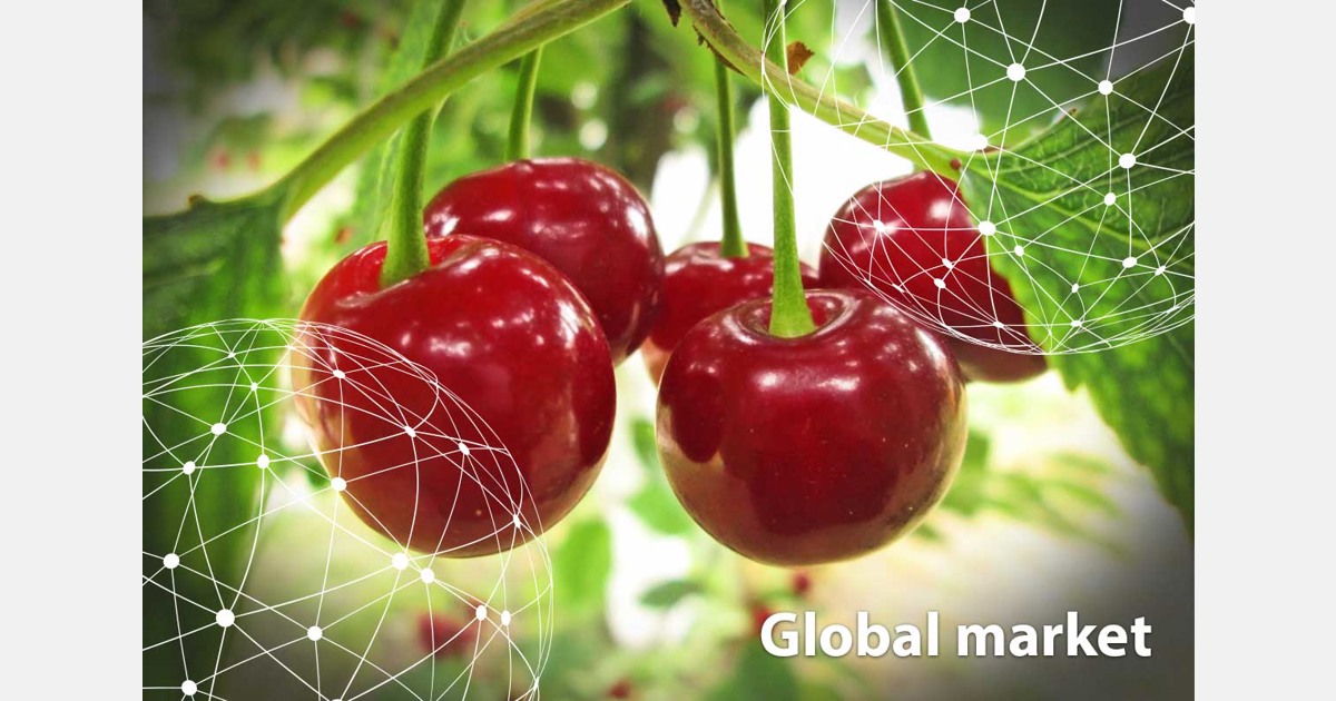 GLOBAL MARKET OVERVIEW CHERRIES