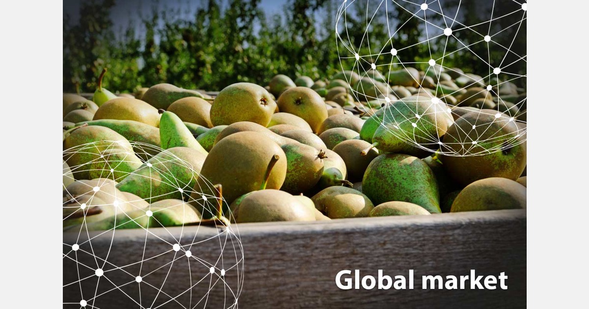 GLOBAL MARKET OVERVIEW PEARS