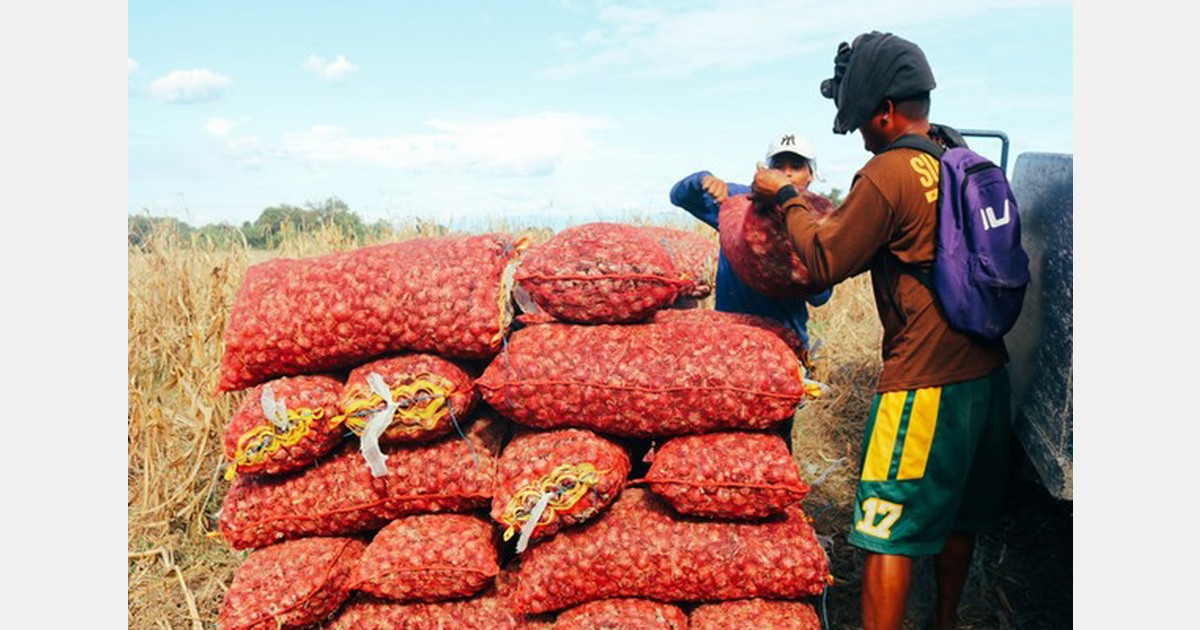 Onion price surge impacts the Philippines