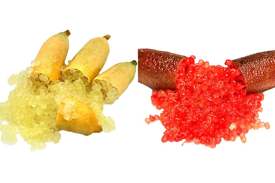 "There is a transition from being a luxury fruit only found in fine ...