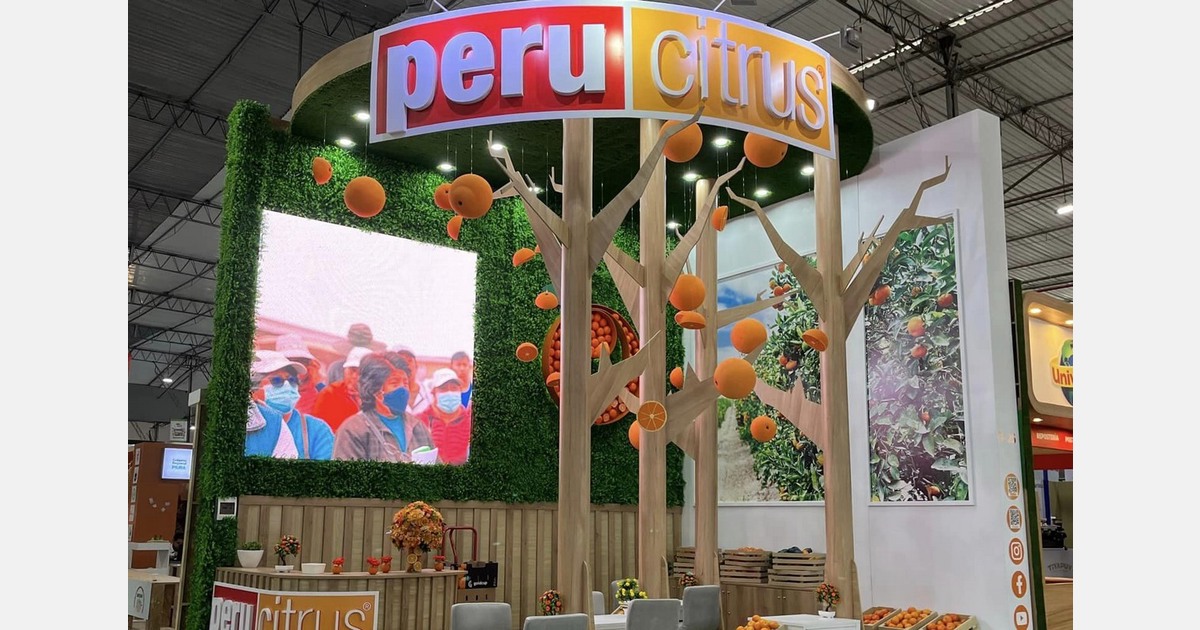 Slow start to Peru’s 2024 citrus season