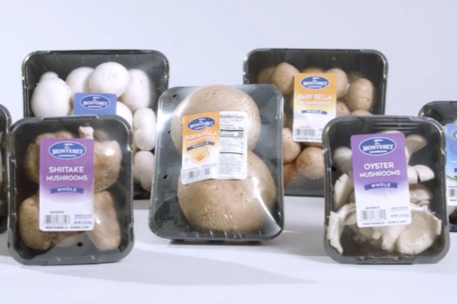 Introducing sustainable packaging for mushrooms