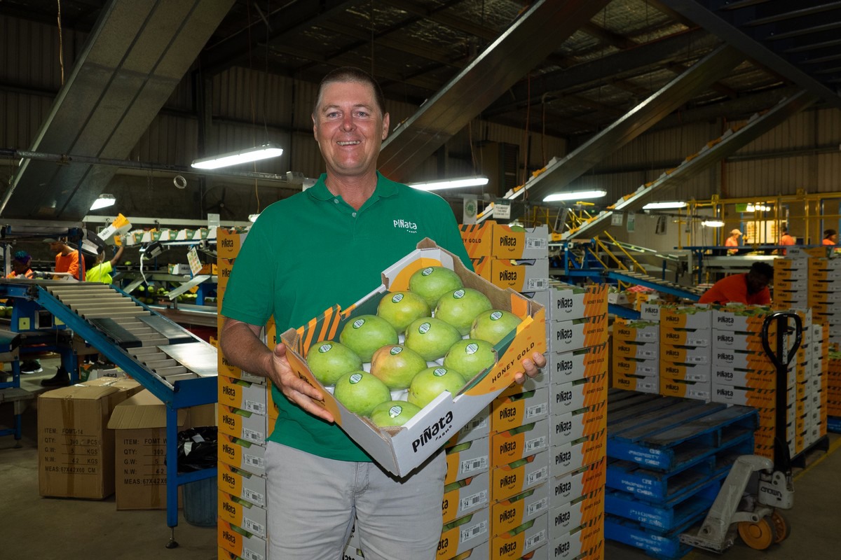 Australia sees record Honey Gold mango volumes harvested in January