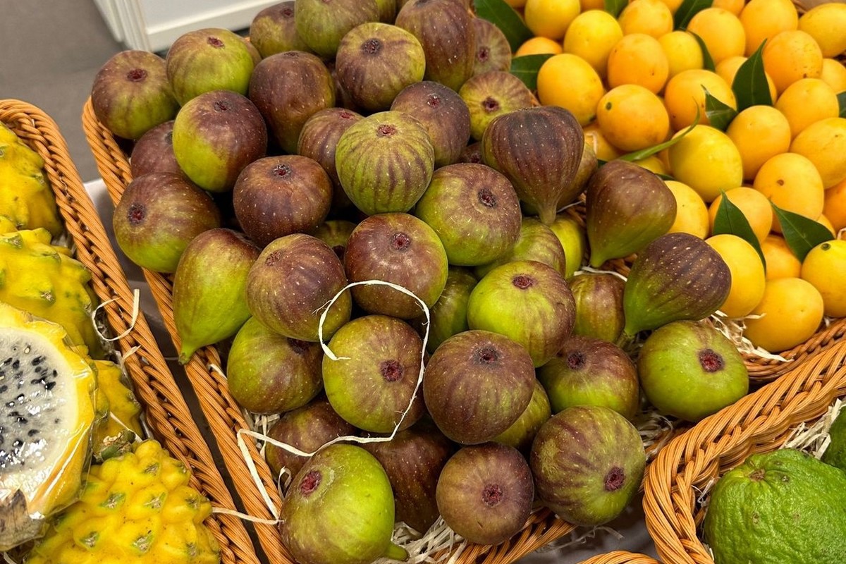 “In Brazil we managed to break the seasonality, we have figs all year ...