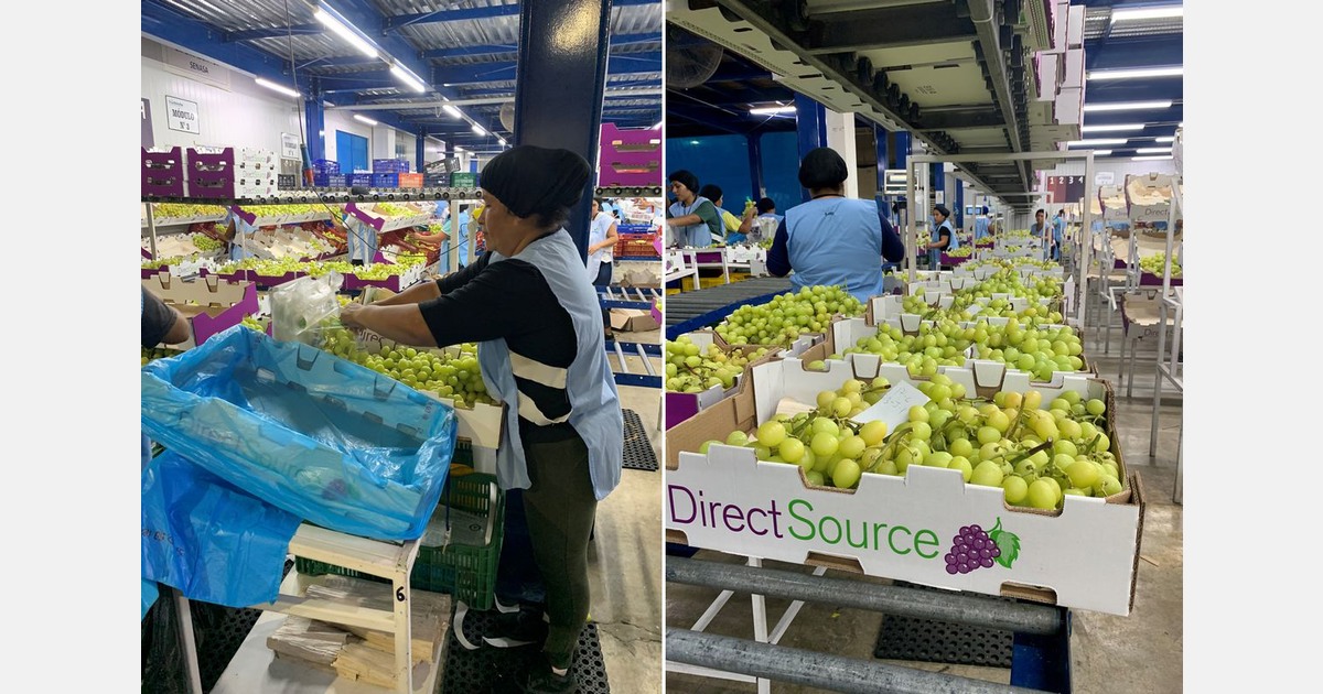 “It’s historic to be selling Chilean table grapes for $36/box in mid-March”