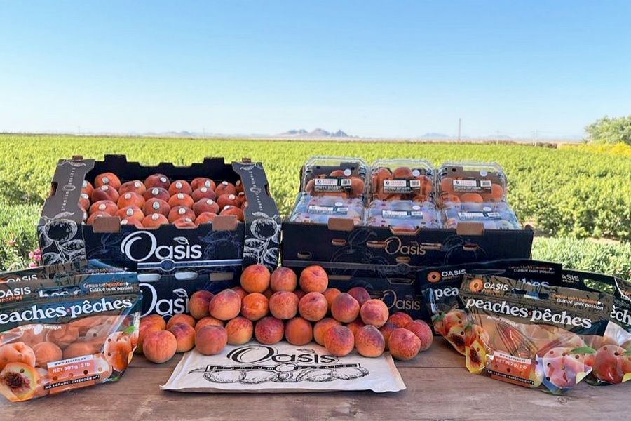 Titan Farms extends peach season through strategic expansion