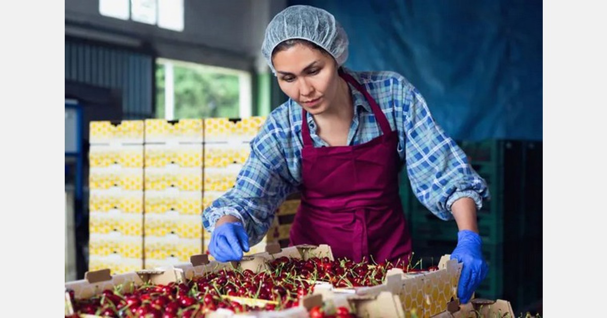 How Maersk built a predictable end-to-end solution to transport ...