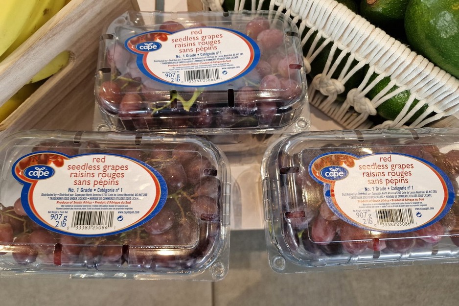 South African table grape harvest to end two weeks earlier than last year