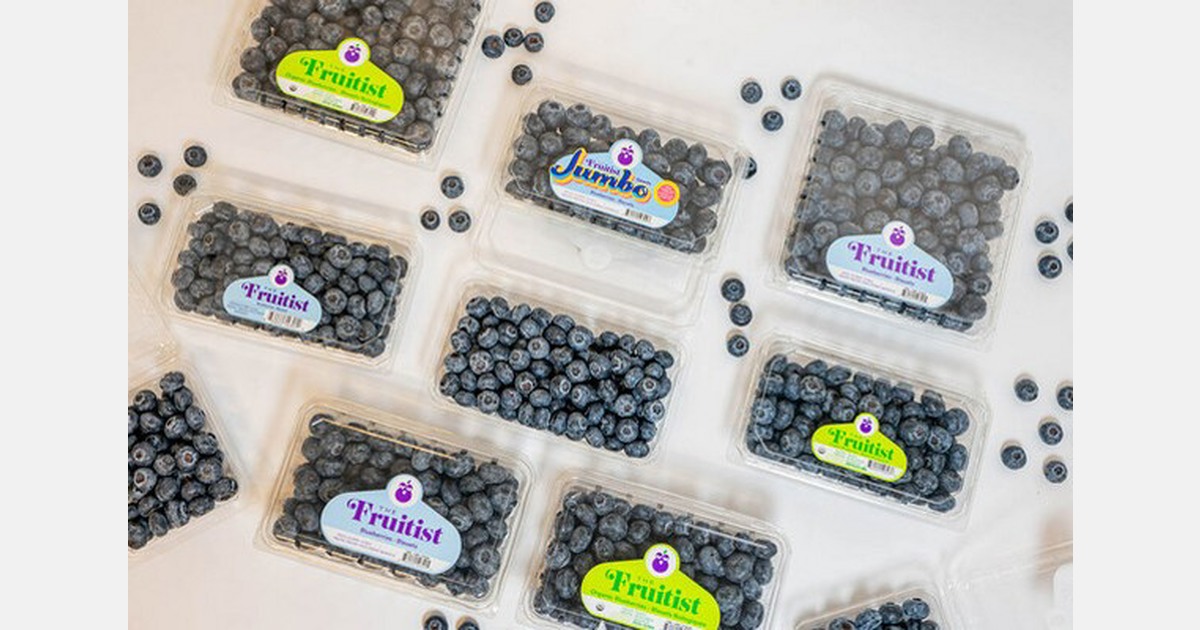 Agrovision announces largest equity financing to date